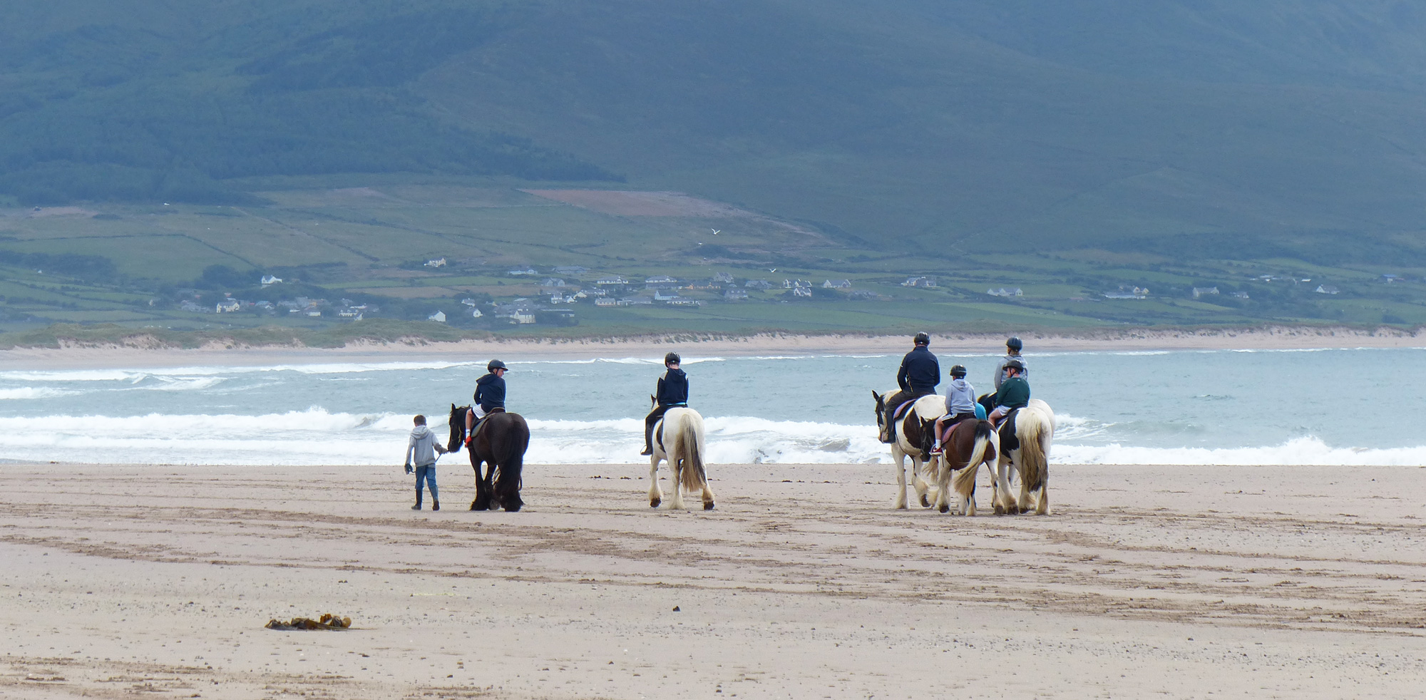 O'Connor's Horse Riding Maharees Dingle Peninsula Co. Kerry - Beach ...